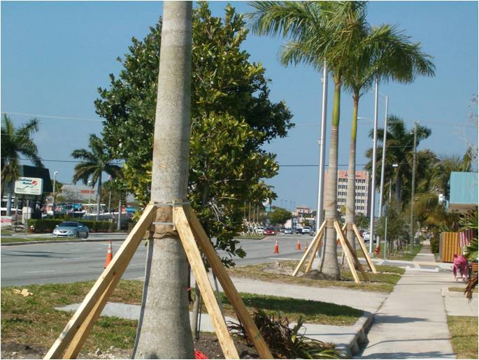 FDOT Broward County Construction - US-1 from south of SE 7th Street to ...