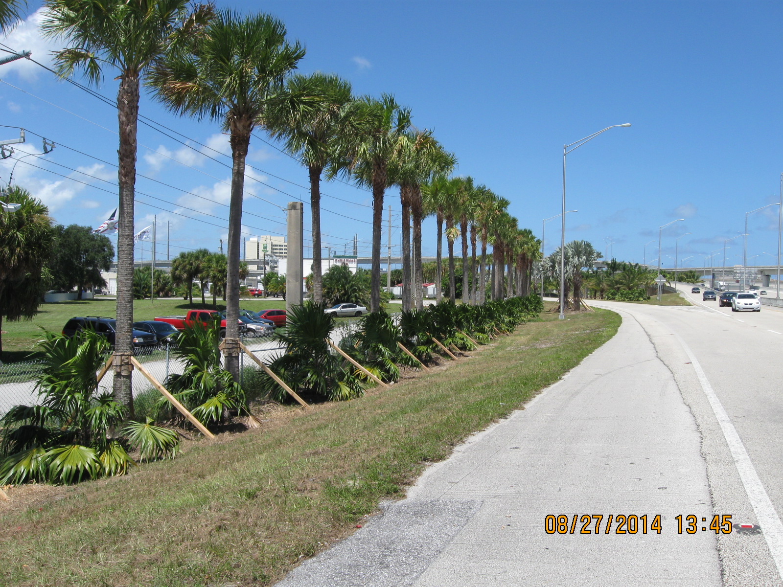 I-95 Bold Landscape Installation from Southern Blvd. to Belvedere Rd ...