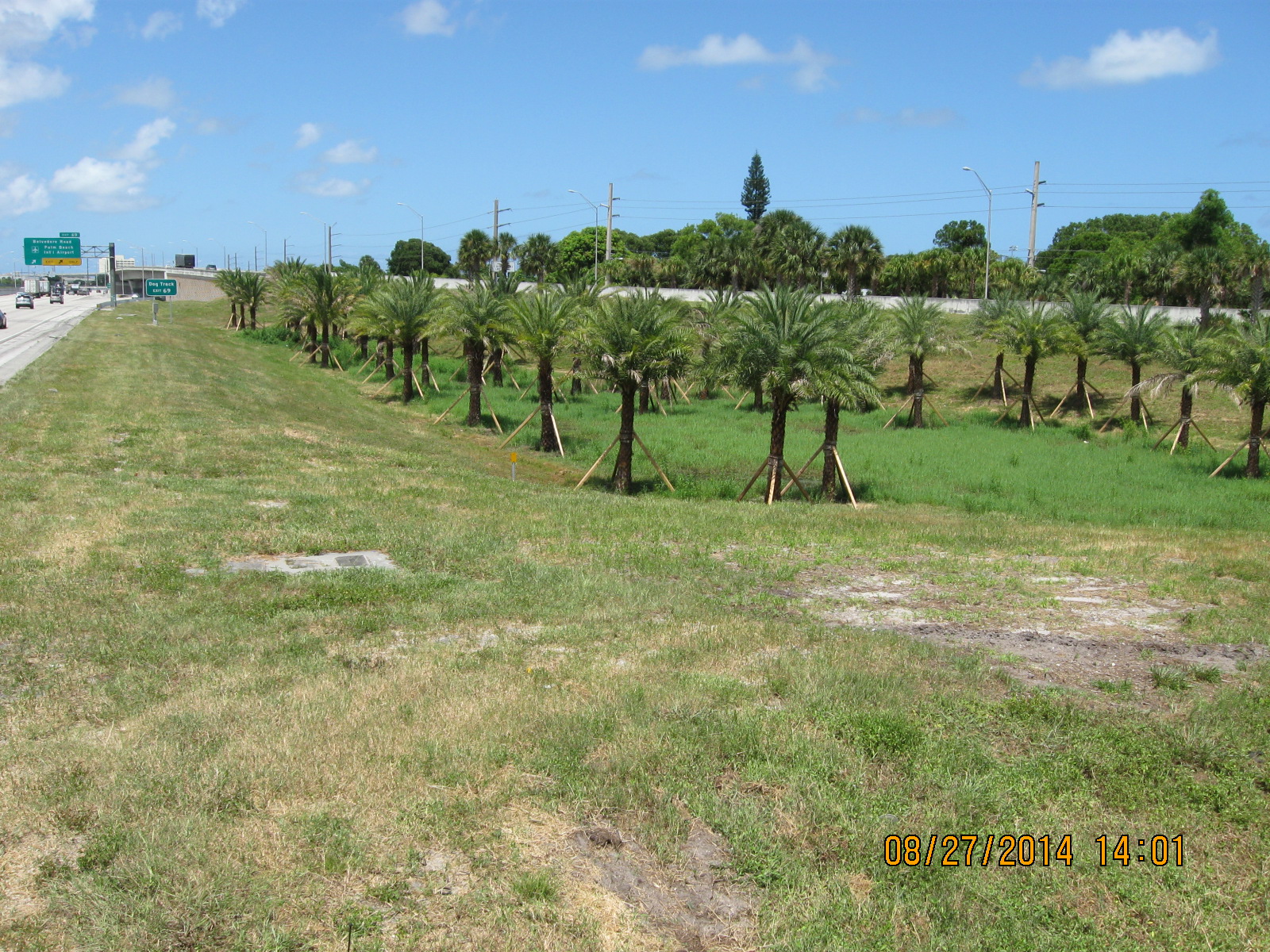 I-95 Bold Landscape Installation from Southern Blvd. to Belvedere Rd ...
