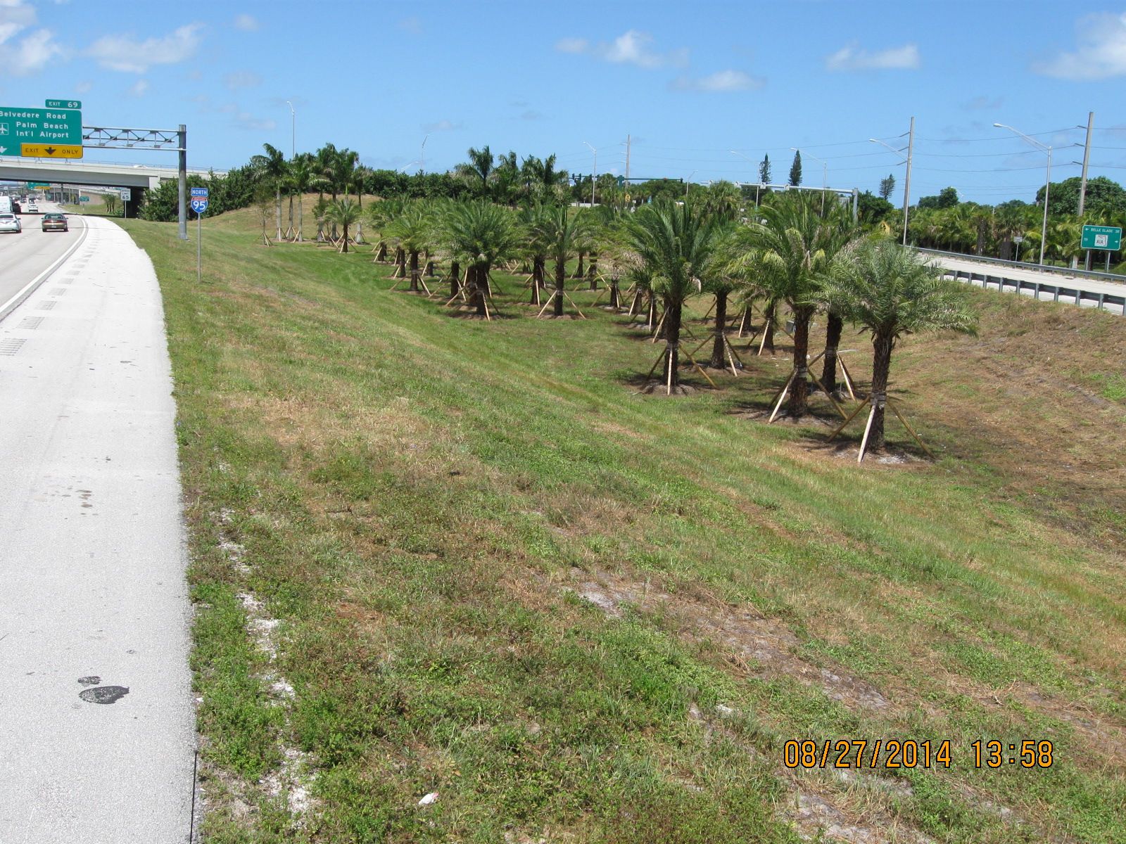 I-95 Bold Landscape Installation from Southern Blvd. to Belvedere Rd ...