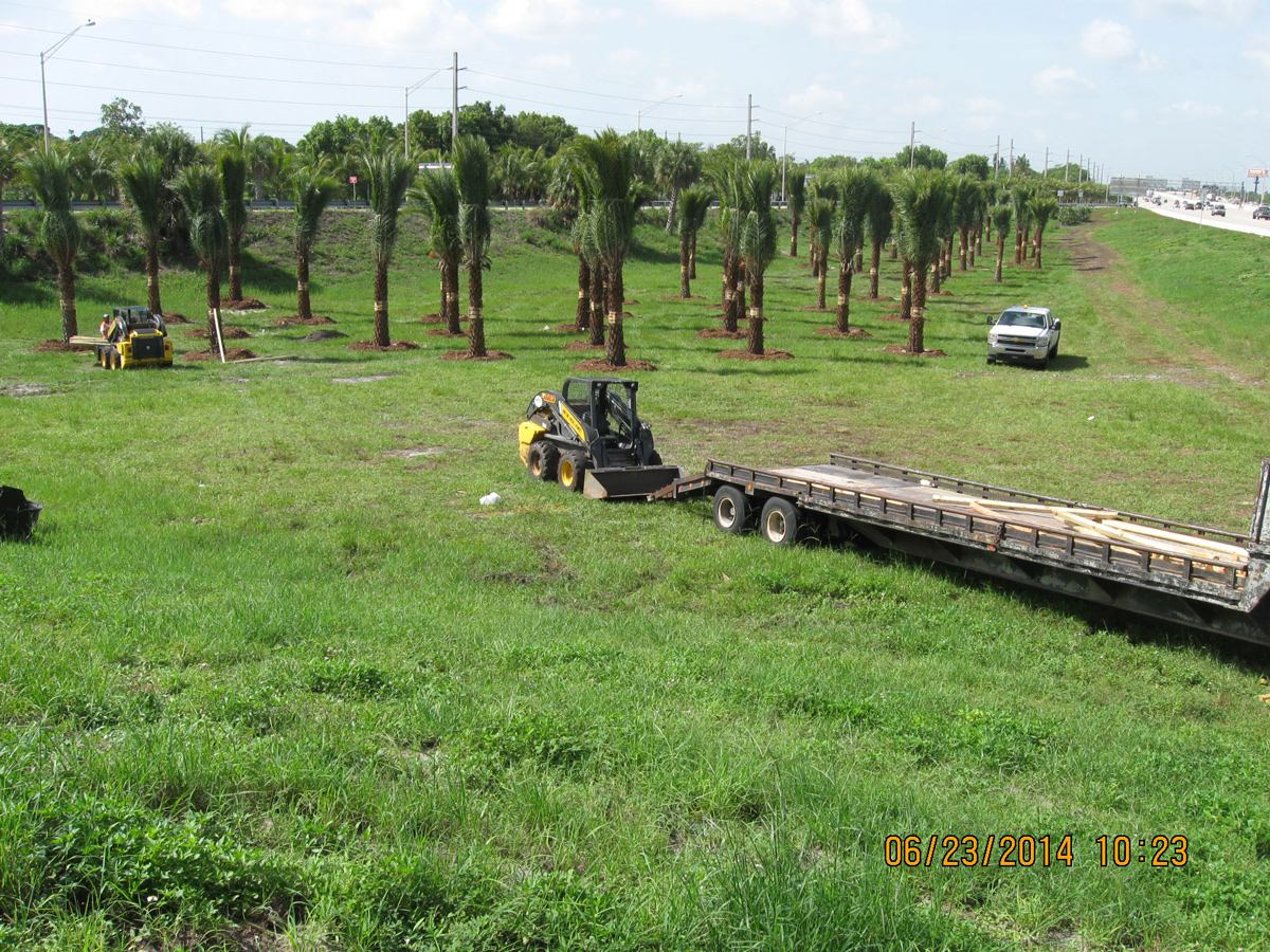 I-95 Bold Landscape Installation from Southern Blvd. to Belvedere Rd ...