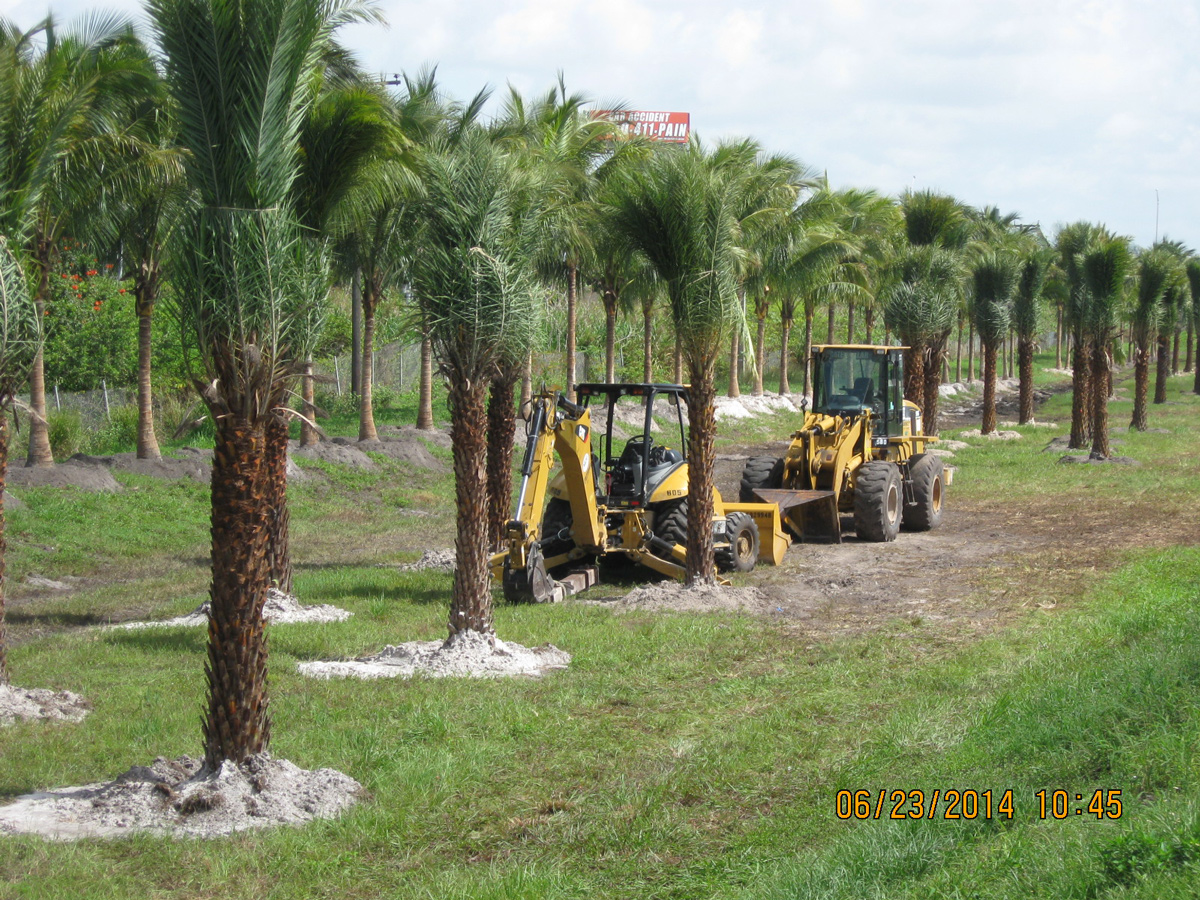 I-95 Bold Landscape Installation from Southern Blvd. to Belvedere Rd ...